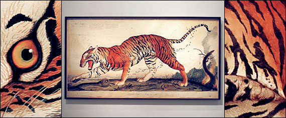 ARTseenSOHO - Walton Ford at Paul Kasmin